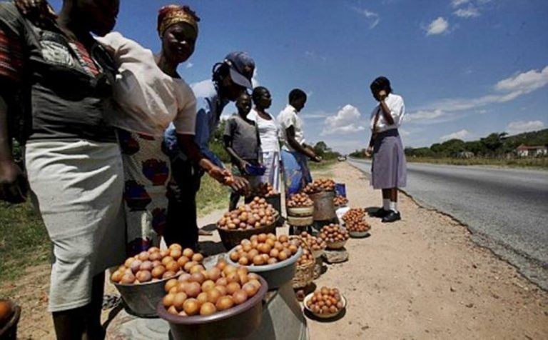 ZIMBABWE NOW ON BRINK OF MAN-MADE STARVATION, UN RIGHTS EXPERT WARNS