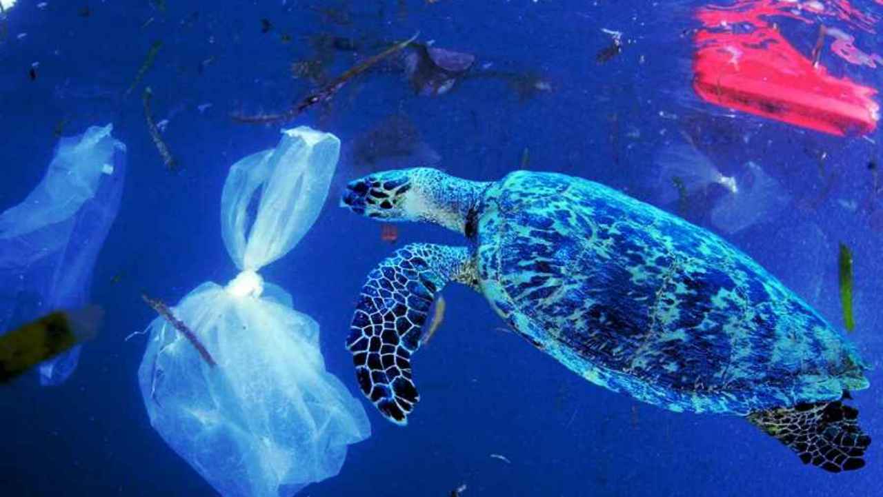 Each minute, a truckload of plastic garbage is dumped in the ocean